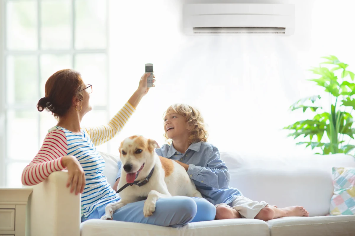 How to Choose the Right HVAC System for Your Home - Homformation
